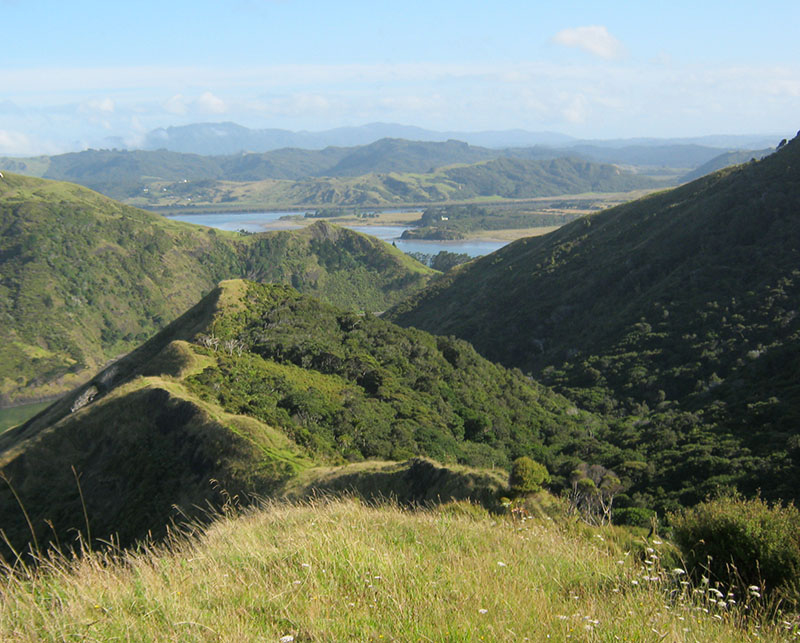 Environmental Grants For Far North Conservation & Sustainability projects